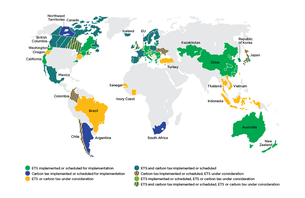 Understanding the Role of Renewable Identification Numbers